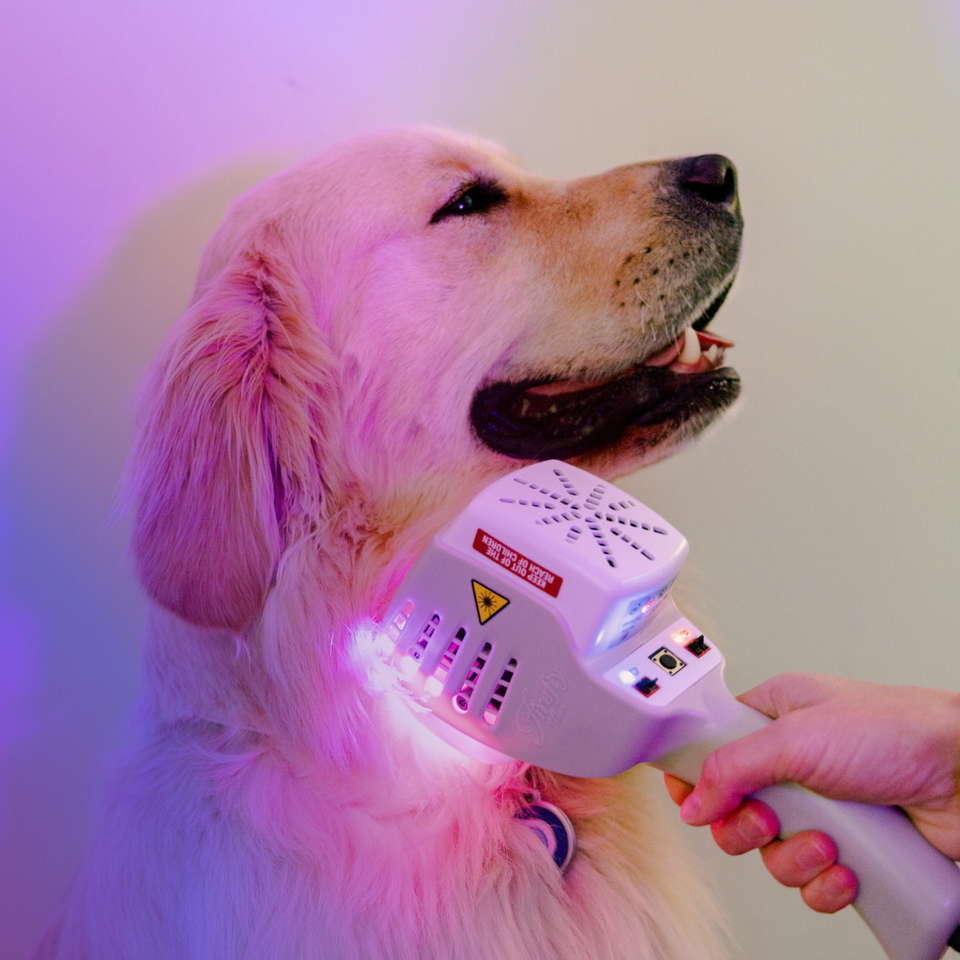 Firefly Light Therapy – Firefly Store